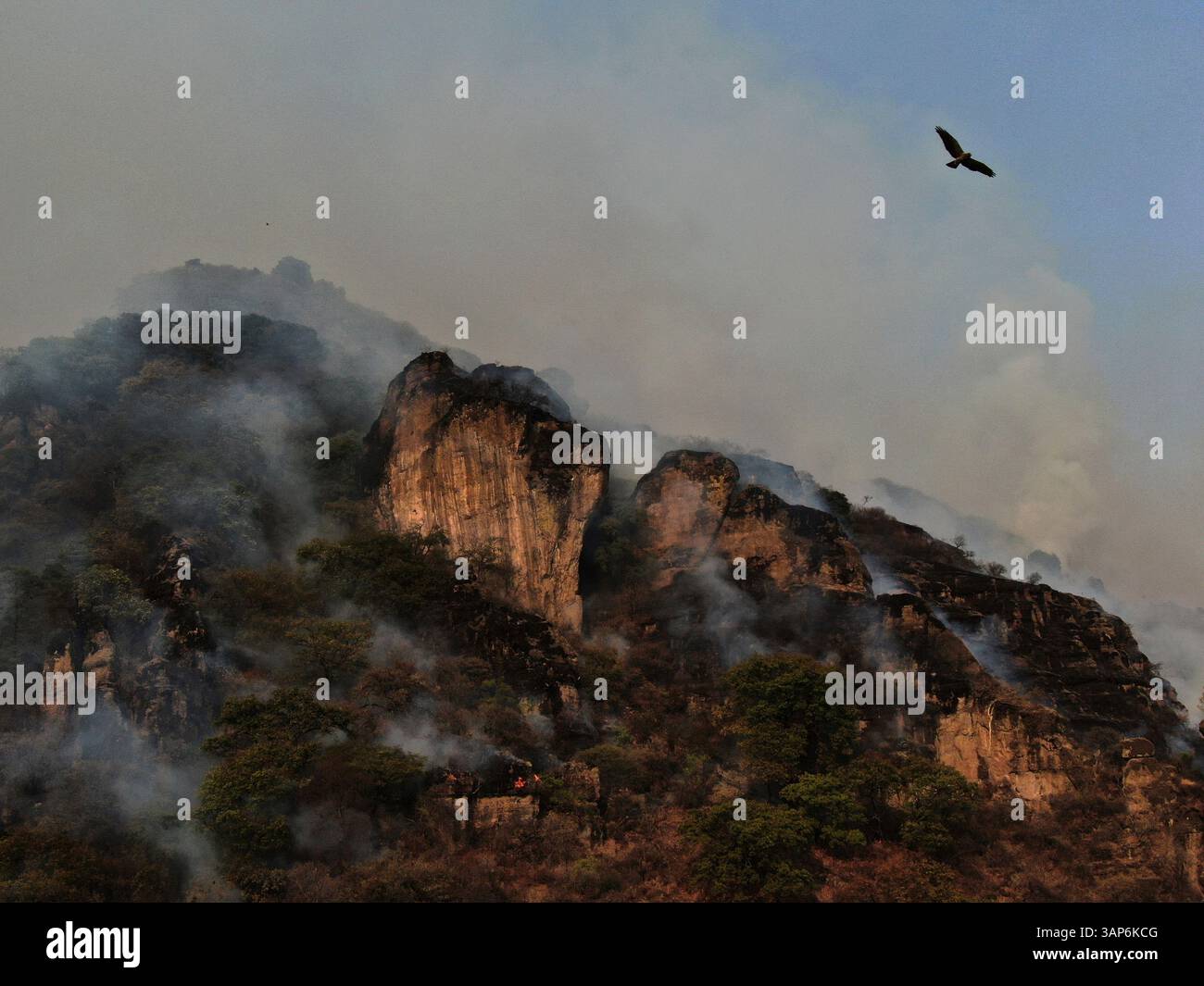 Smoke rises from wildfires outside of Amatlan, Mexico, Tuesday, April ...