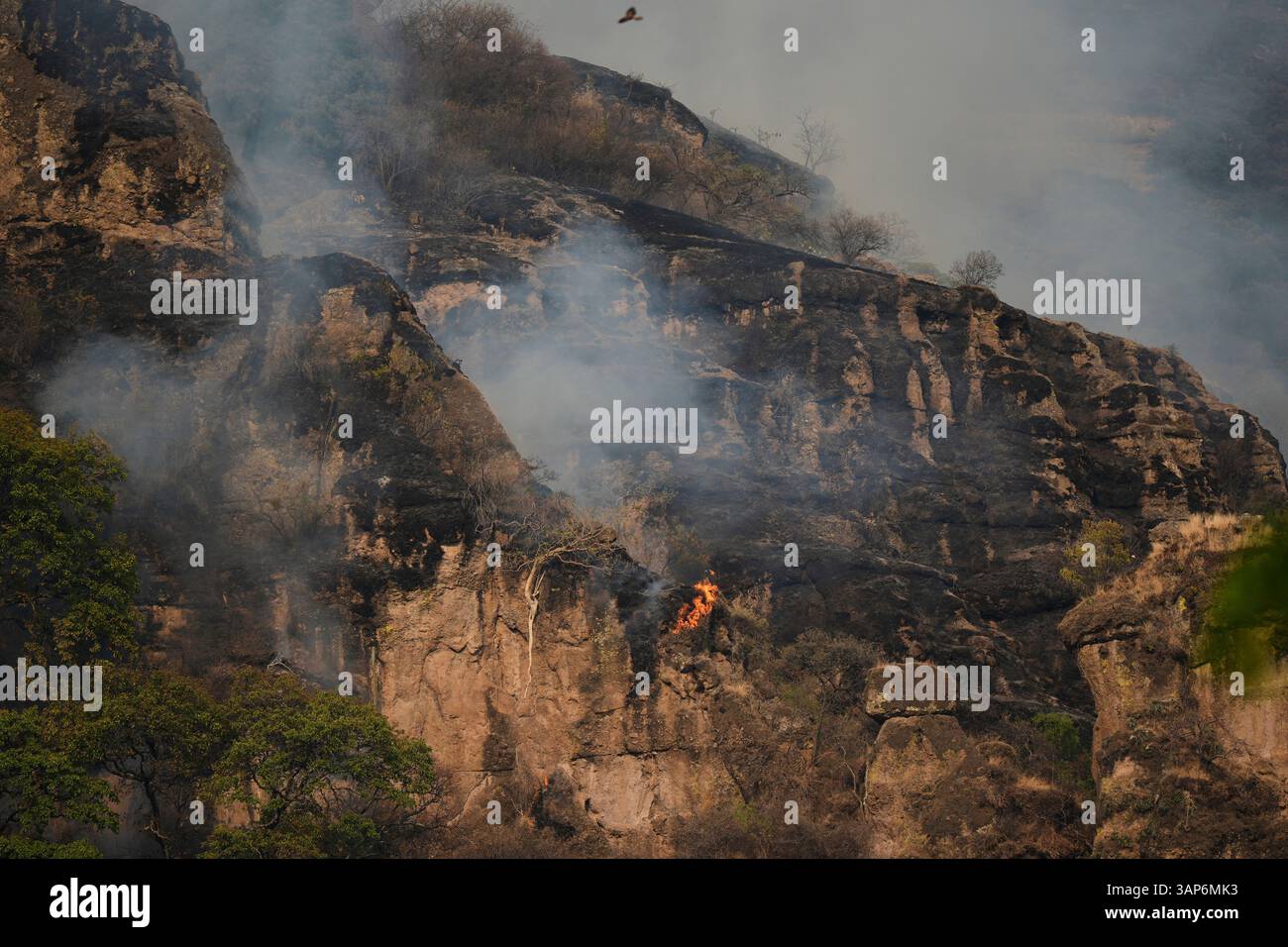 Smoke rises from wildfires outside of Amatlan, Mexico, Tuesday, April ...
