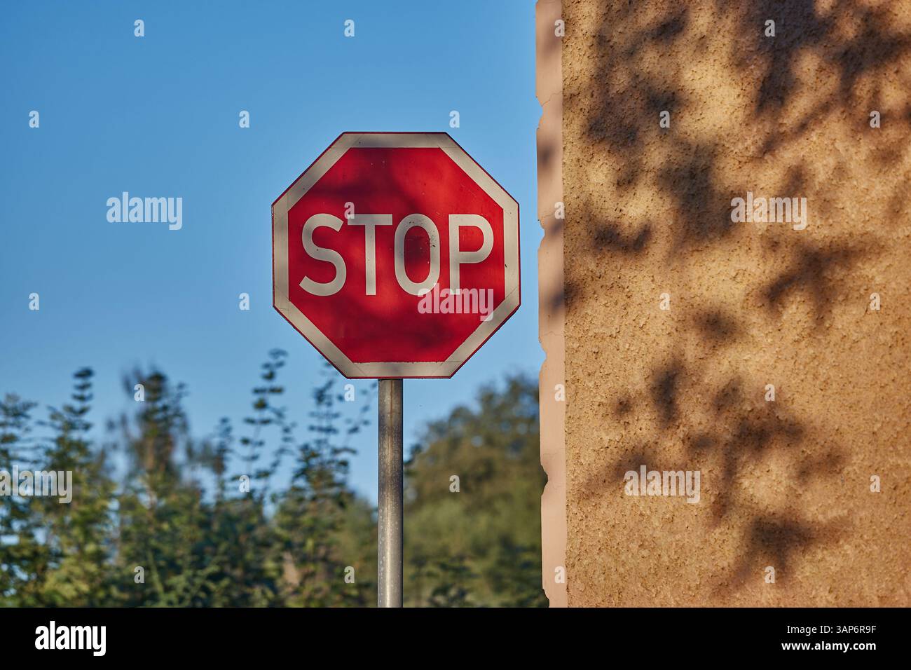 Stop sign on a corner with tree branch shadows Stock Photo - Alamy