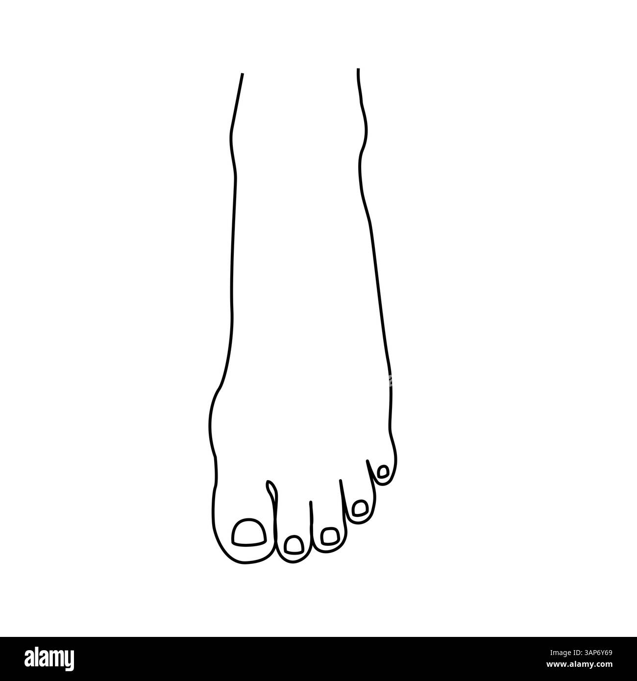 Illustration of the left foot Stock Photo - Alamy