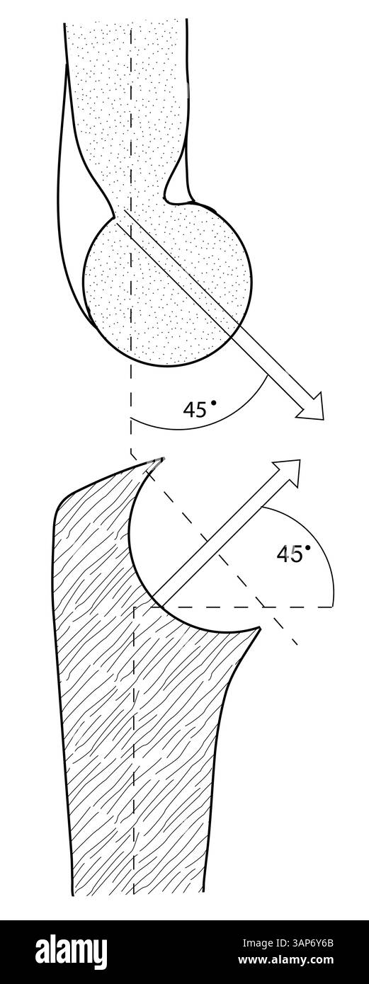 Illustration showing the lateral rotation of the elbow and the jointâ ...
