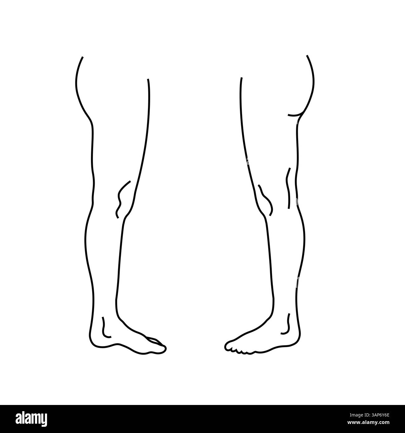 Illustration of a left leg Stock Photo - Alamy