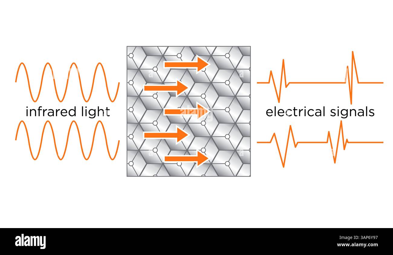 Illustration of the ocular processing of infrared (IR) light, showing ...