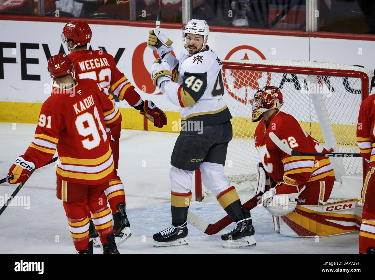 Vegas Golden Knights' Tomas Hertl (48) celebrates his team's goal as ...