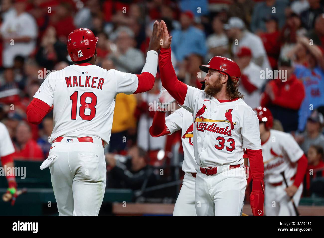Brendan Donovan #33 of the St. Louis Cardinals celebrates with Jordan ...