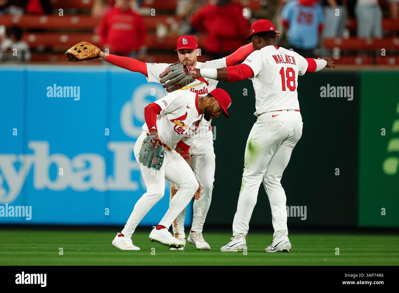 Members of the St. Louis Cardinals celebrate a team victory over the ...