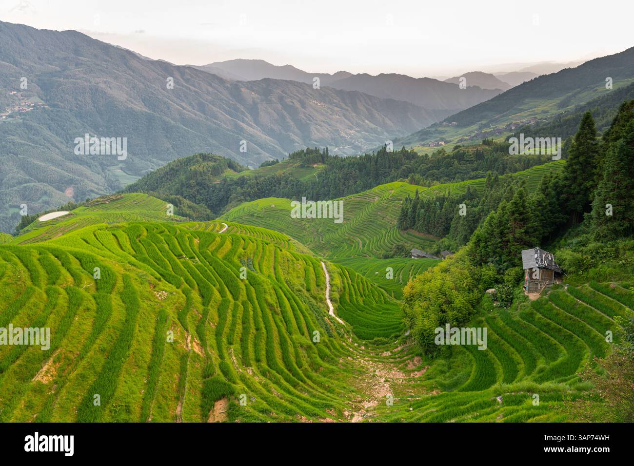 Beautiful layers of the rice terraces of Longji - China, sunrise ...