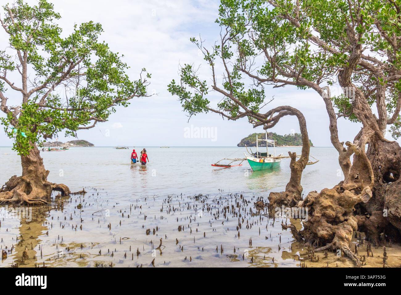 Filipino fishermen coming to shore with bancas docked in shallow waters ...