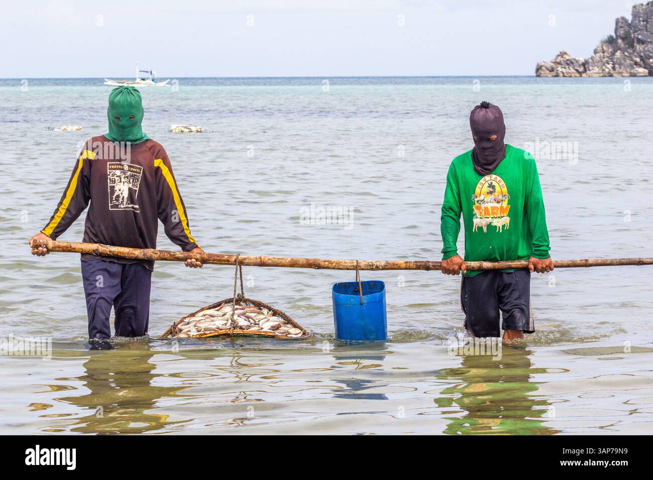 Filipino fishermen transporting harvested scallop shells from boat to ...