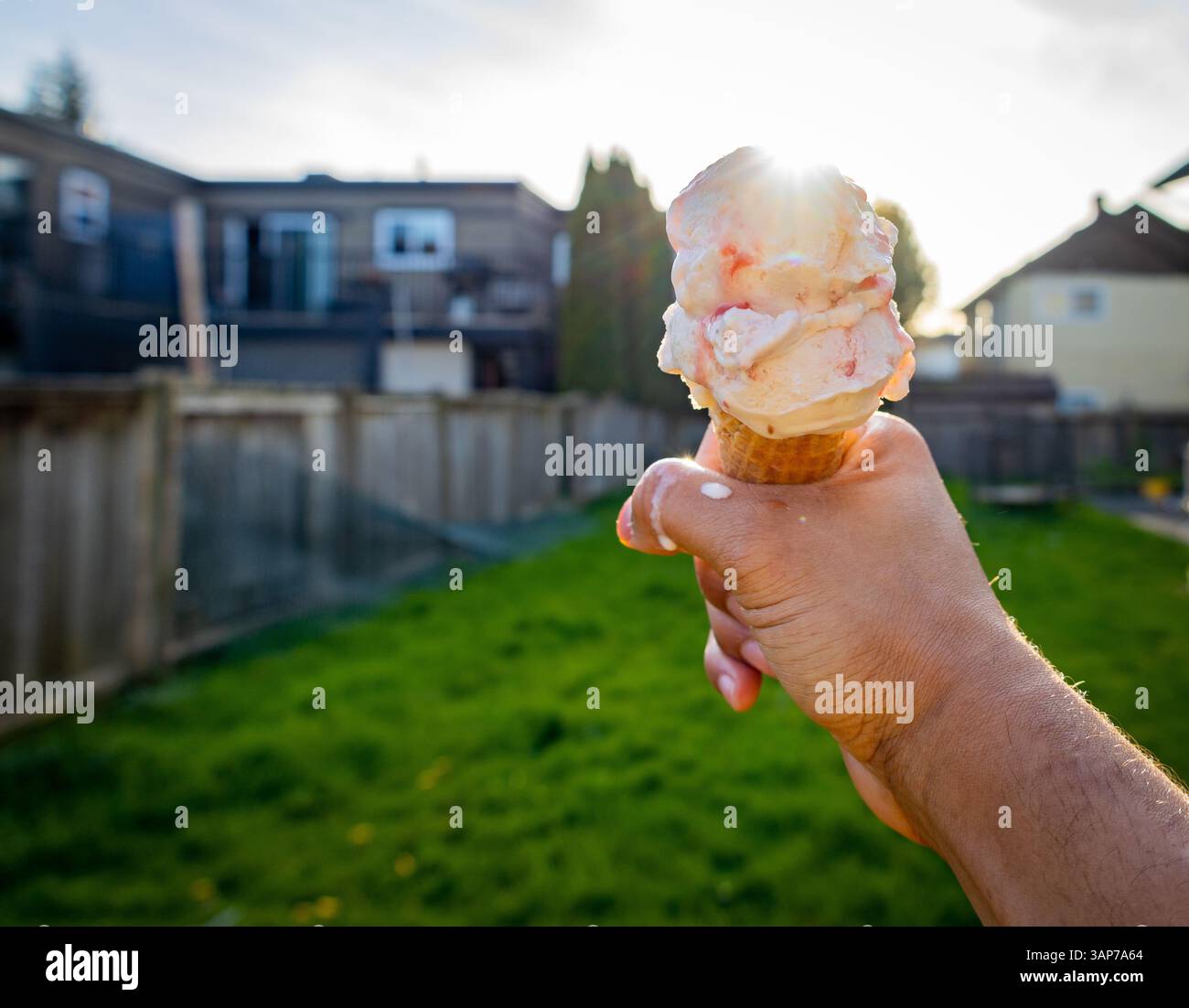 Hand holding strawberry ice cream cone on back yard with the sun behind ...