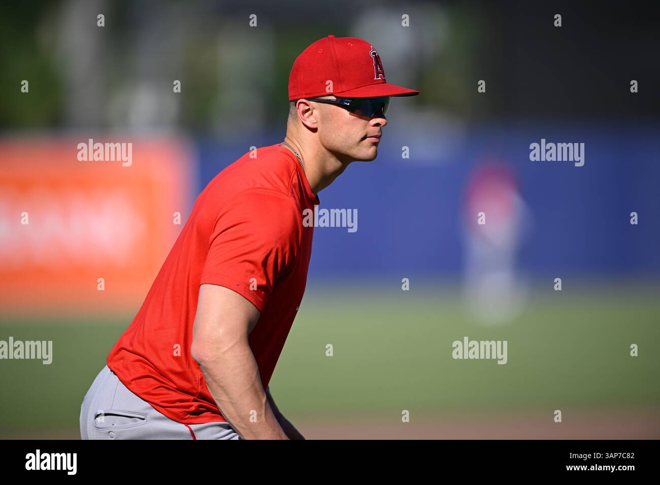 Los Angeles Angels' Logan O'Hoppe looks on during batting practice ...