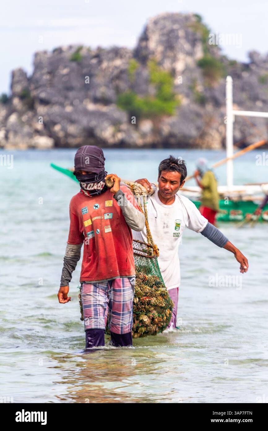Filipino fishermen transporting harvested scallop shells from boat to ...