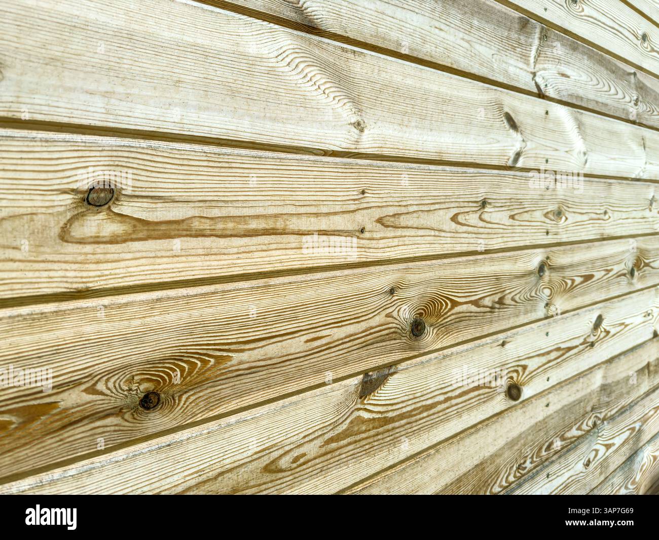 boarded wall with natural texture and knots. perspective view Stock ...