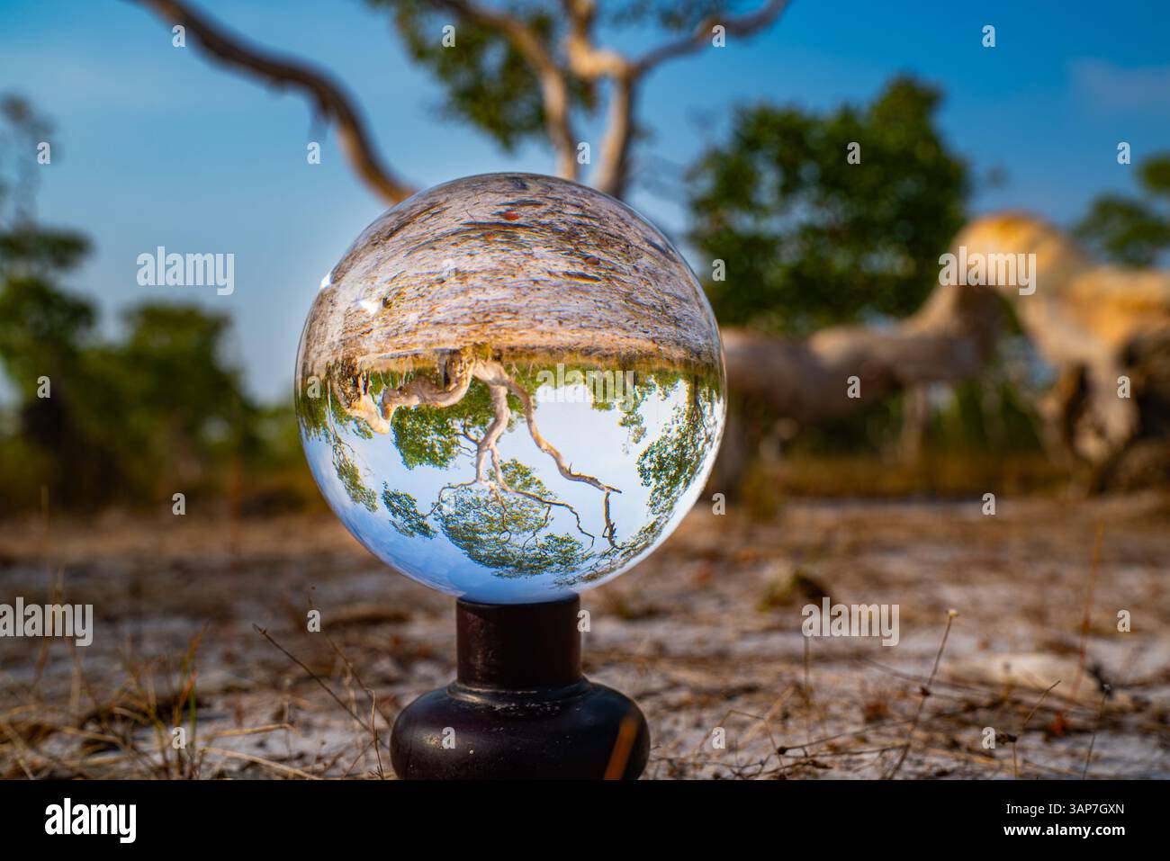 A creative photograph of a natural landscape reflected upside-down through a crystal ball placed ...