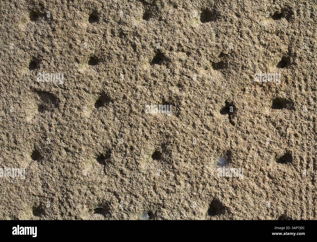 Close up textured background of holes in a concrete block Stock Photo ...