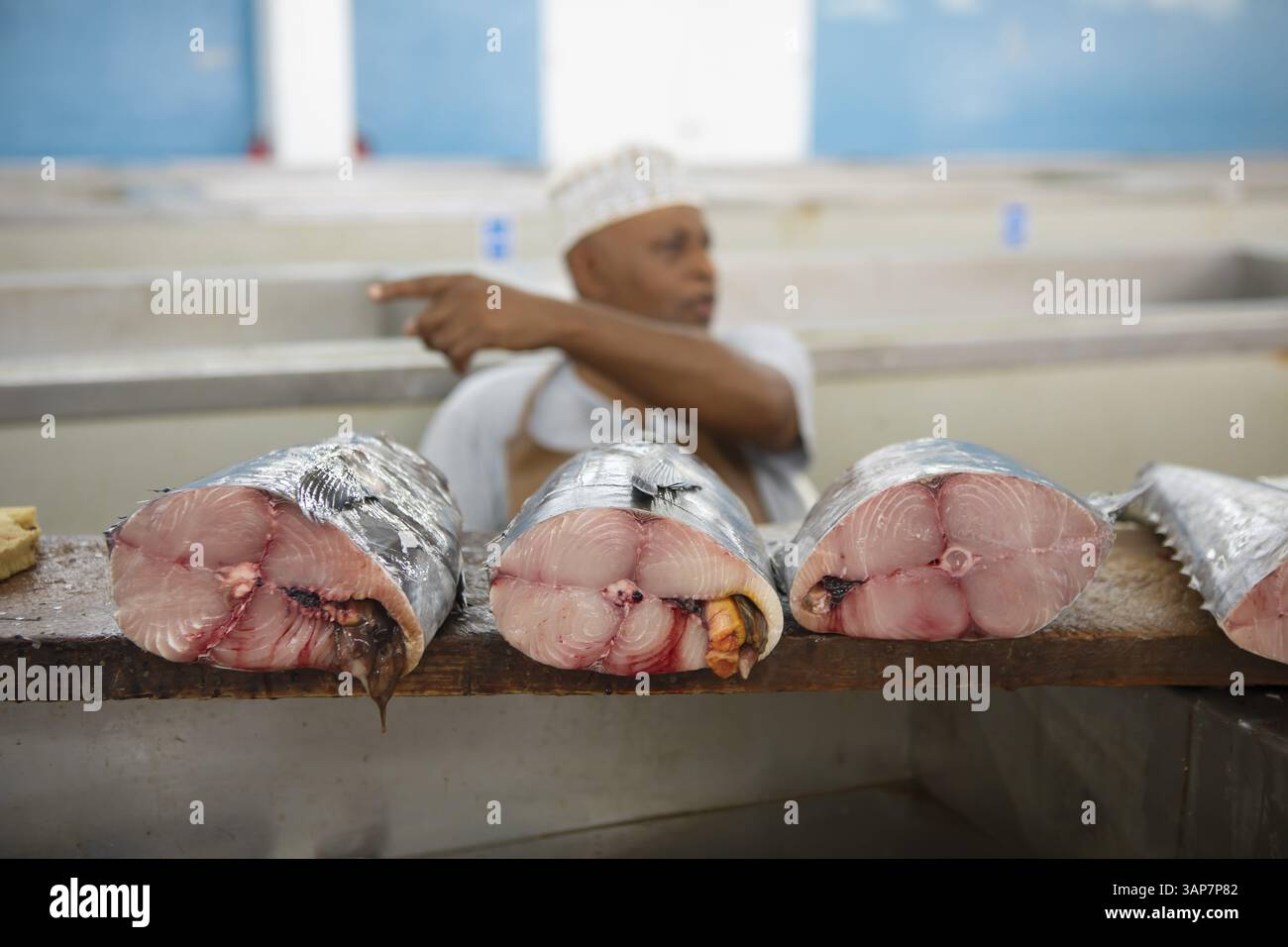 Fresh fish for sale at Muttrah Fish Market, Muscat, Oman, Asia Stock ...