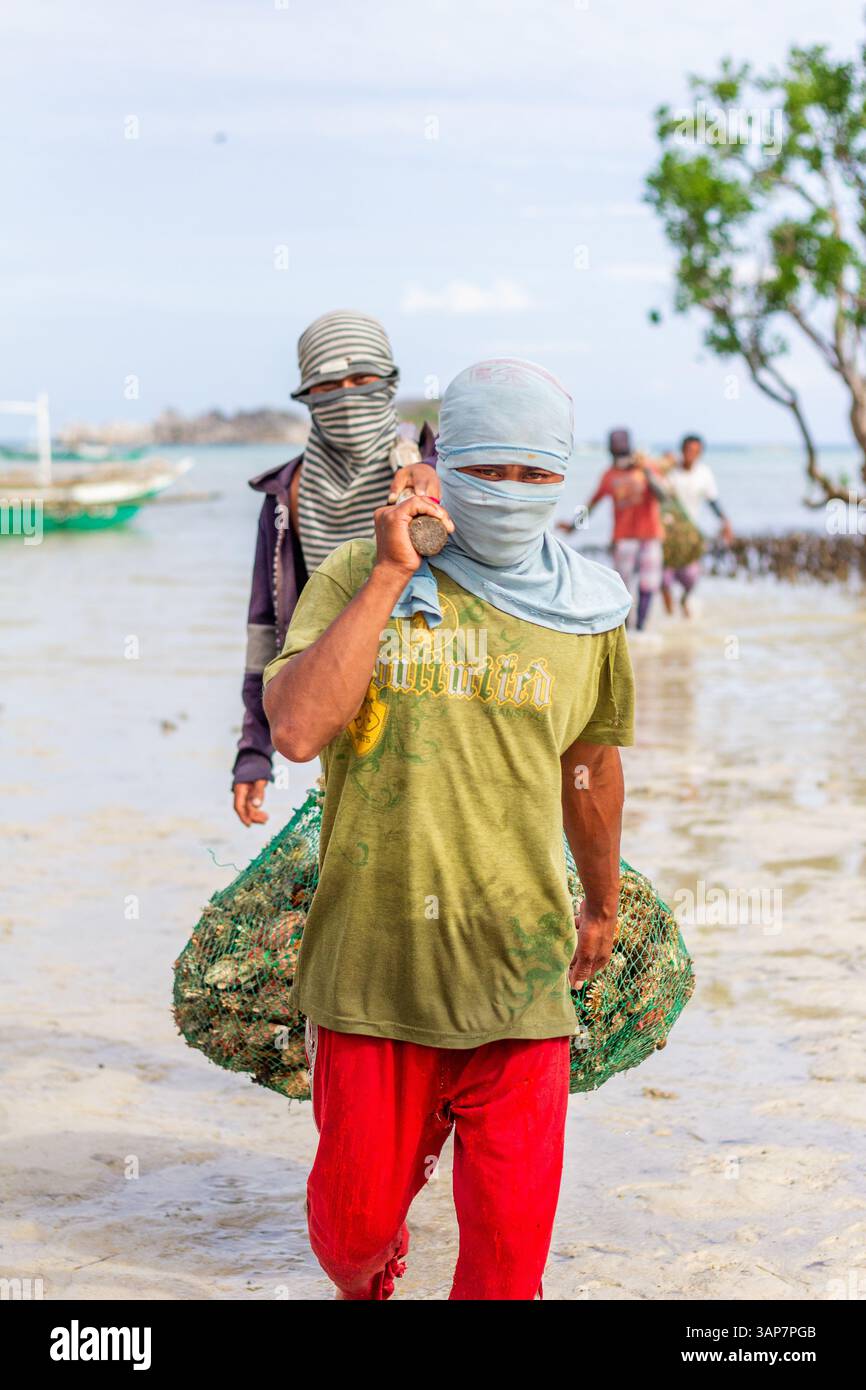 Filipino fishermen transporting harvested scallop shells from boat to ...