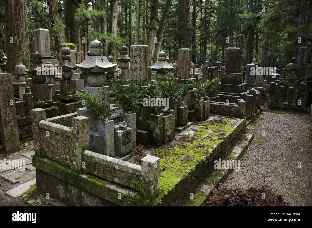 Okunoin cemetary at Mount Koya and Koya-san in Wakayama, Japan. World ...