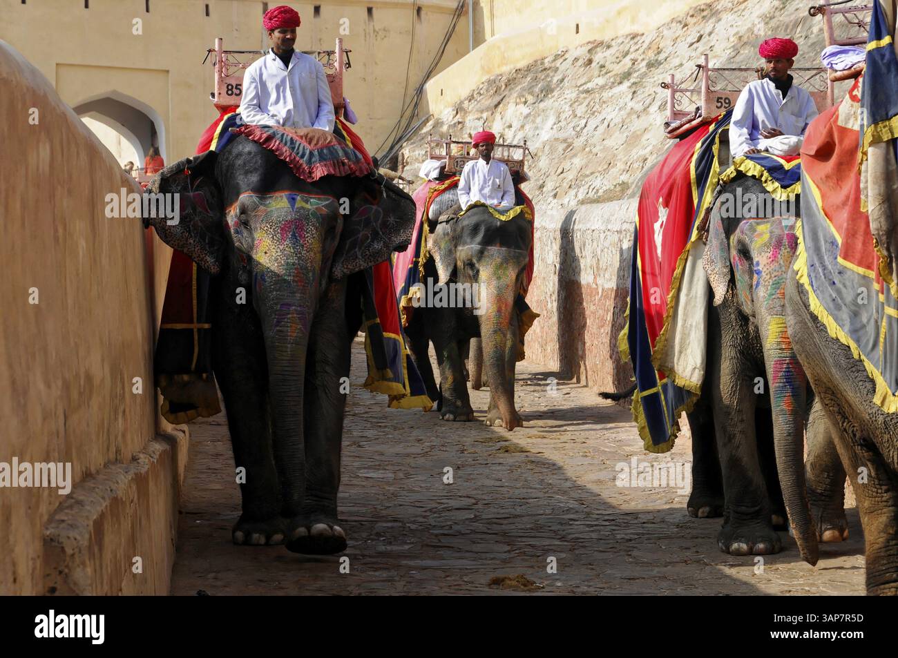 Jaipur, Rajasthan, India, Asia, Several elephants with riders in ...