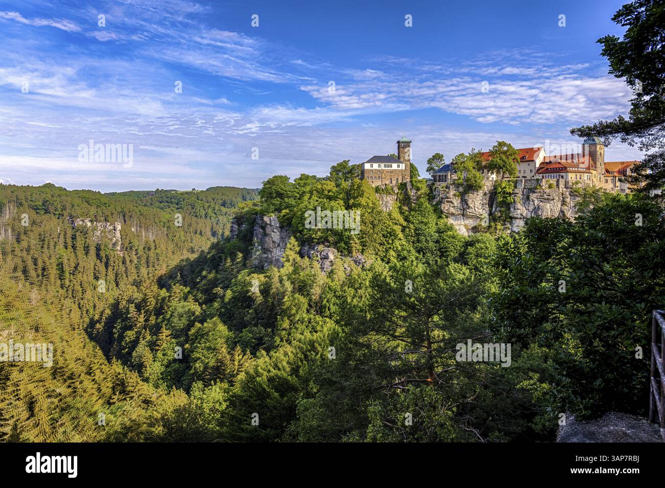 View hohnstein castle in hi-res stock photography and images - Alamy