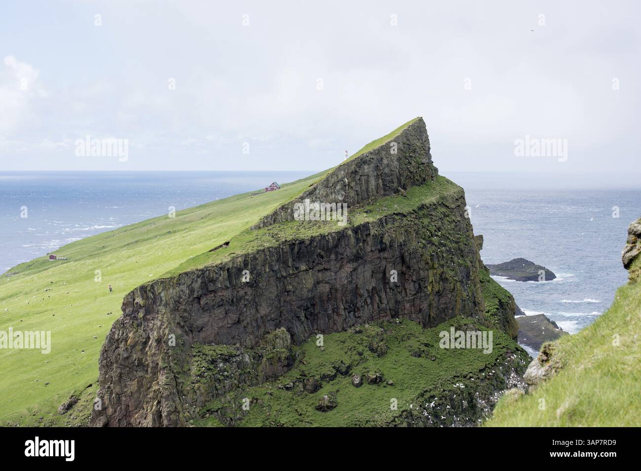 Mykines-Holmur on the Faroe Islands, with green grass, cliffs, and ...