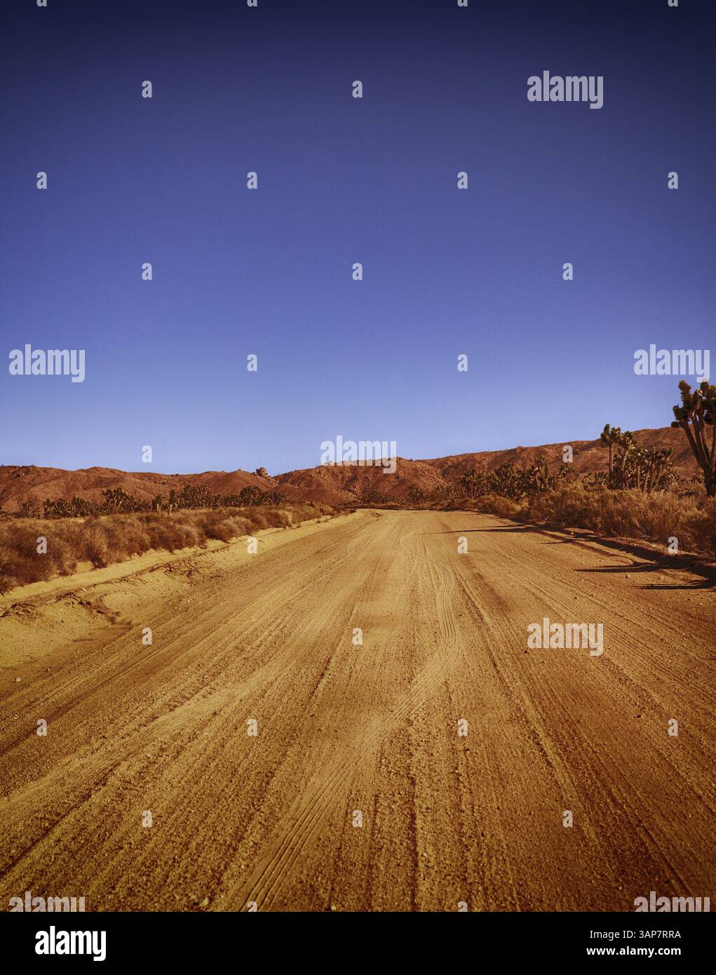 Arid dry dusty sand sandy hi-res stock photography and images - Alamy