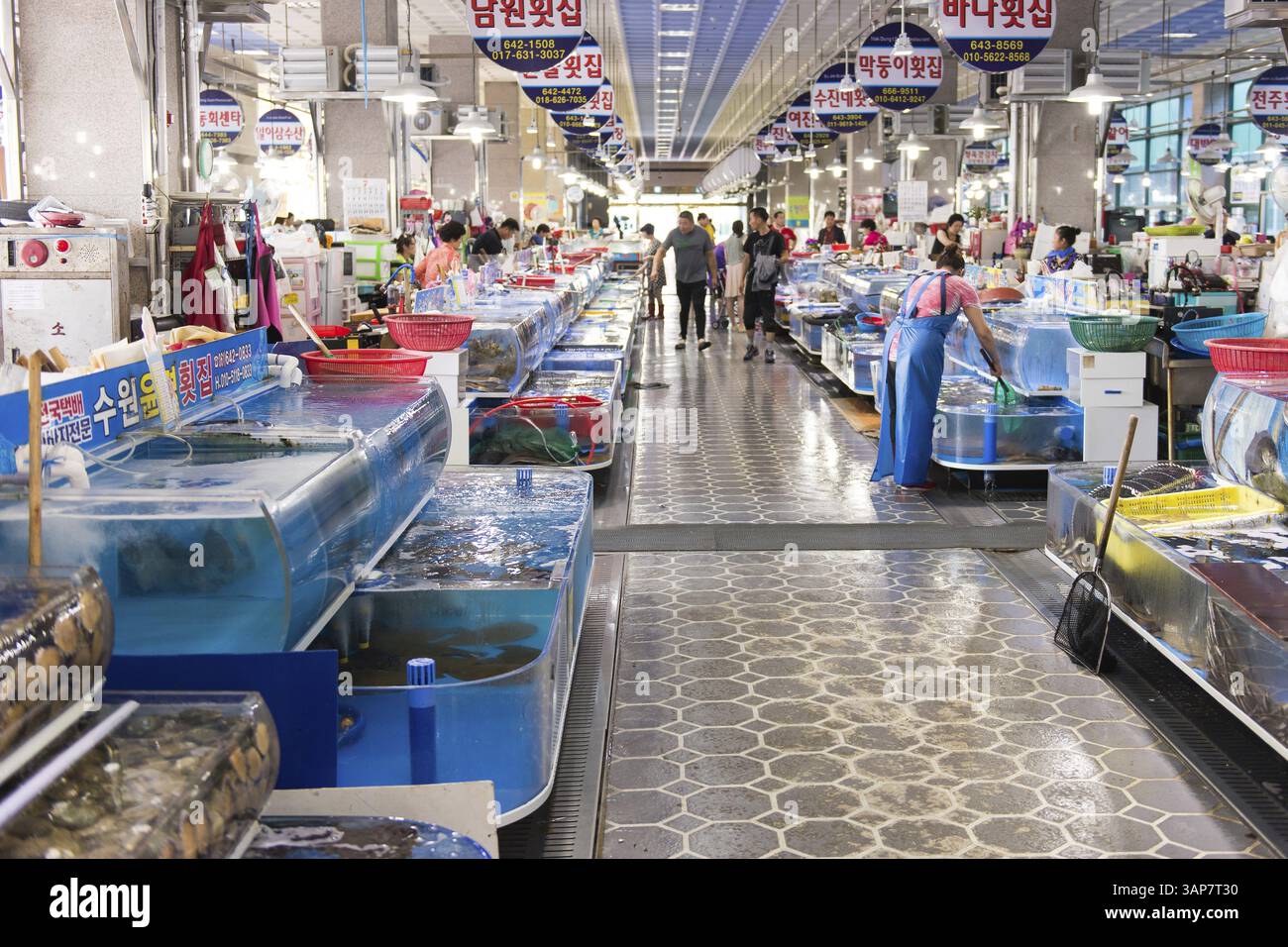 Indoor fish market in Yeosu, South Korea with living fish and people ...