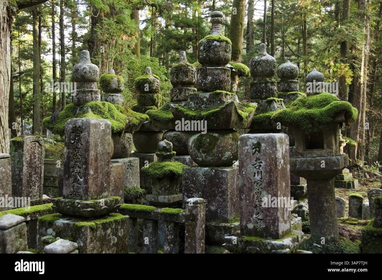 Okunoin cemetery at Mount Koya and Koya-san in Wakayama, Japan. World ...