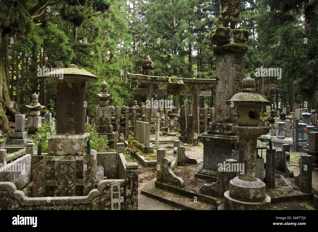 Okunoin cemetery at Mount Koya and Koya-san in Wakayama, Japan. World ...