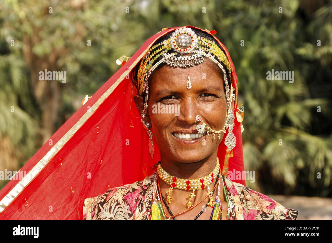 Pushkar Mela, Pushkar, Big camel and cattle market, Rajasthan, North ...