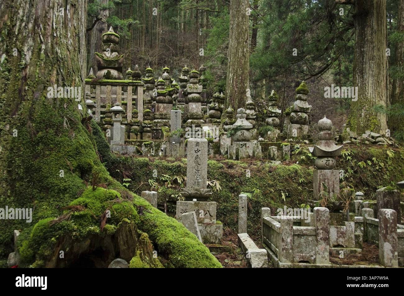 Okunoin cemetery at Mount Koya and Koya-san in Wakayama, Japan. World ...