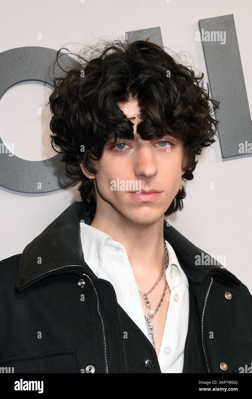 New York, NY, USA. 15th Apr, 2025. John Supnik at the premiere of toile ...
