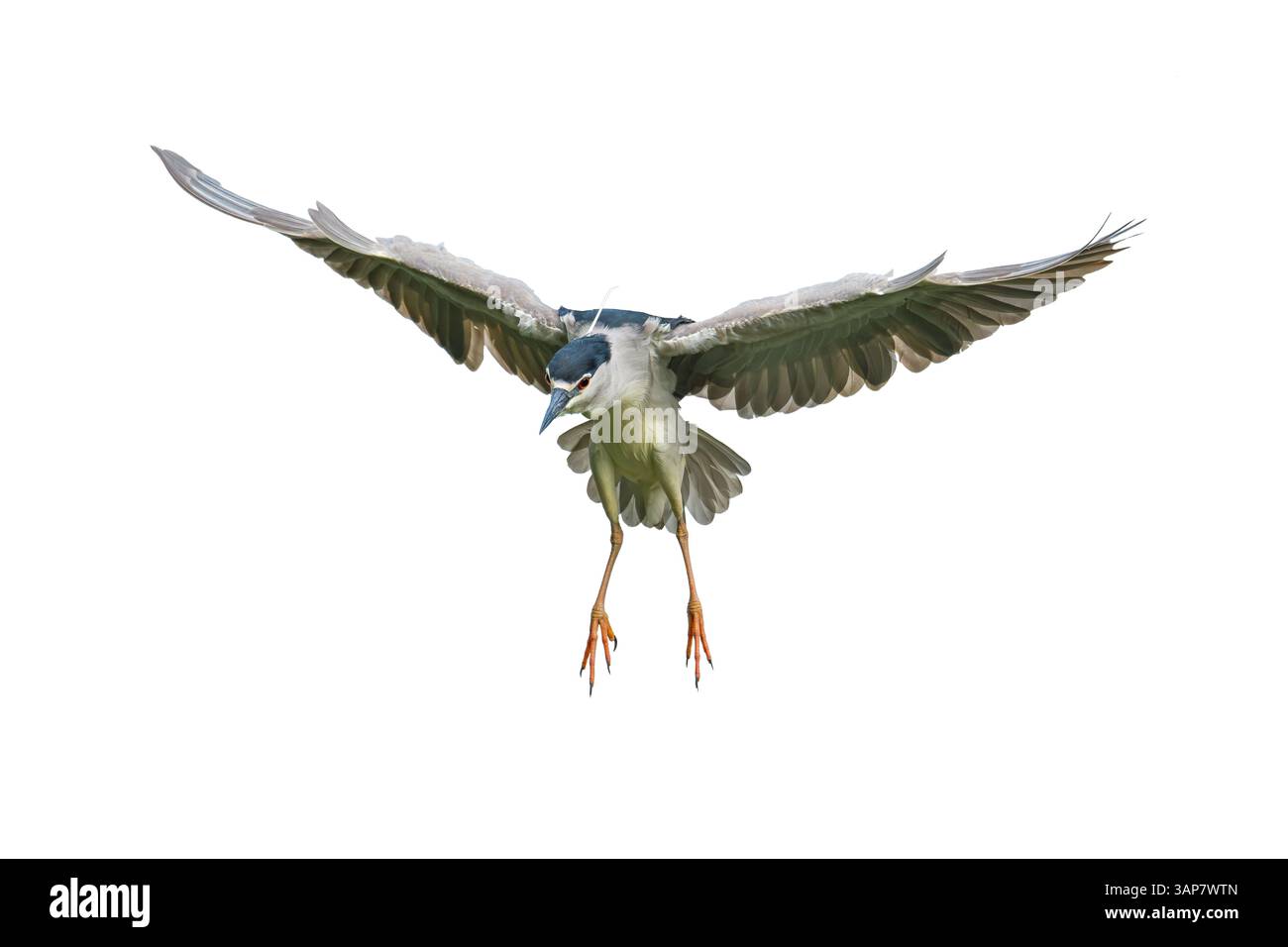 Night view in front Cut Out Stock Images & Pictures - Alamy