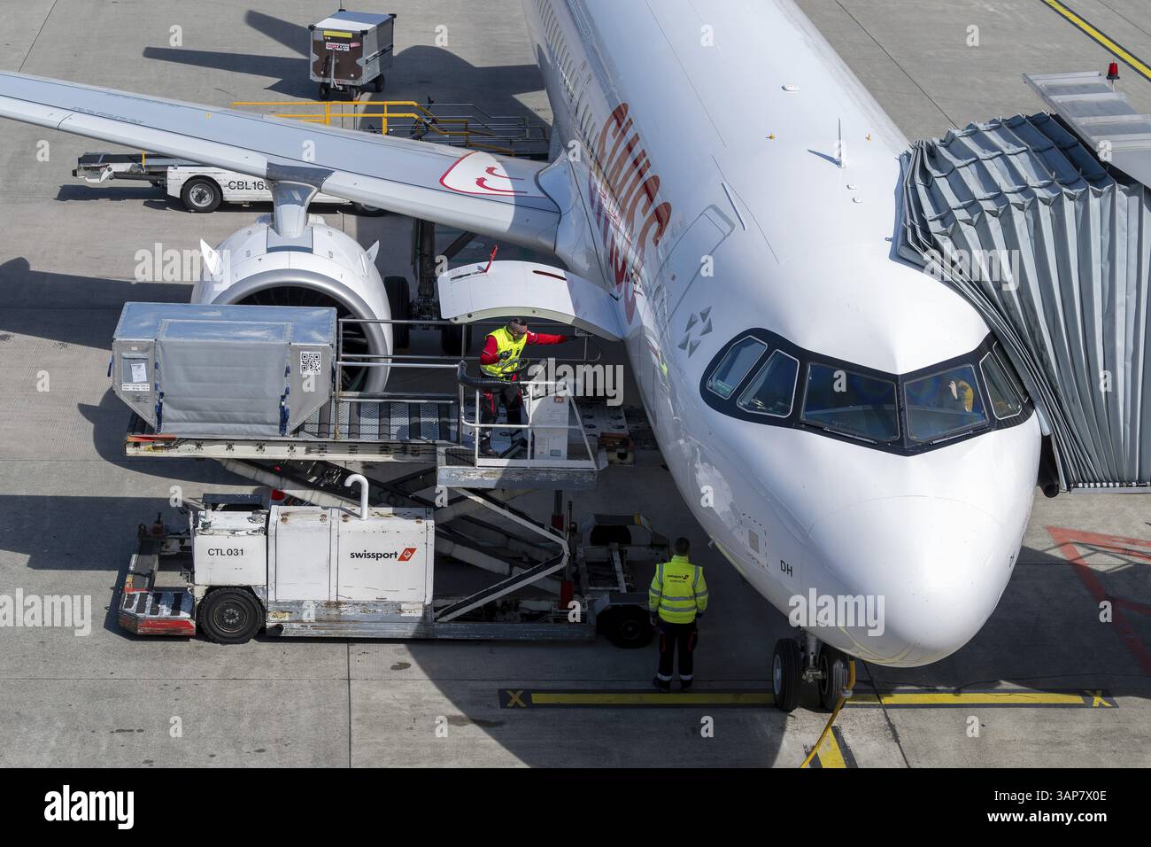 Ground staff handling aircraft Swiss, HB-JHD, Airbus A330-300 Stock Photo - Alamy