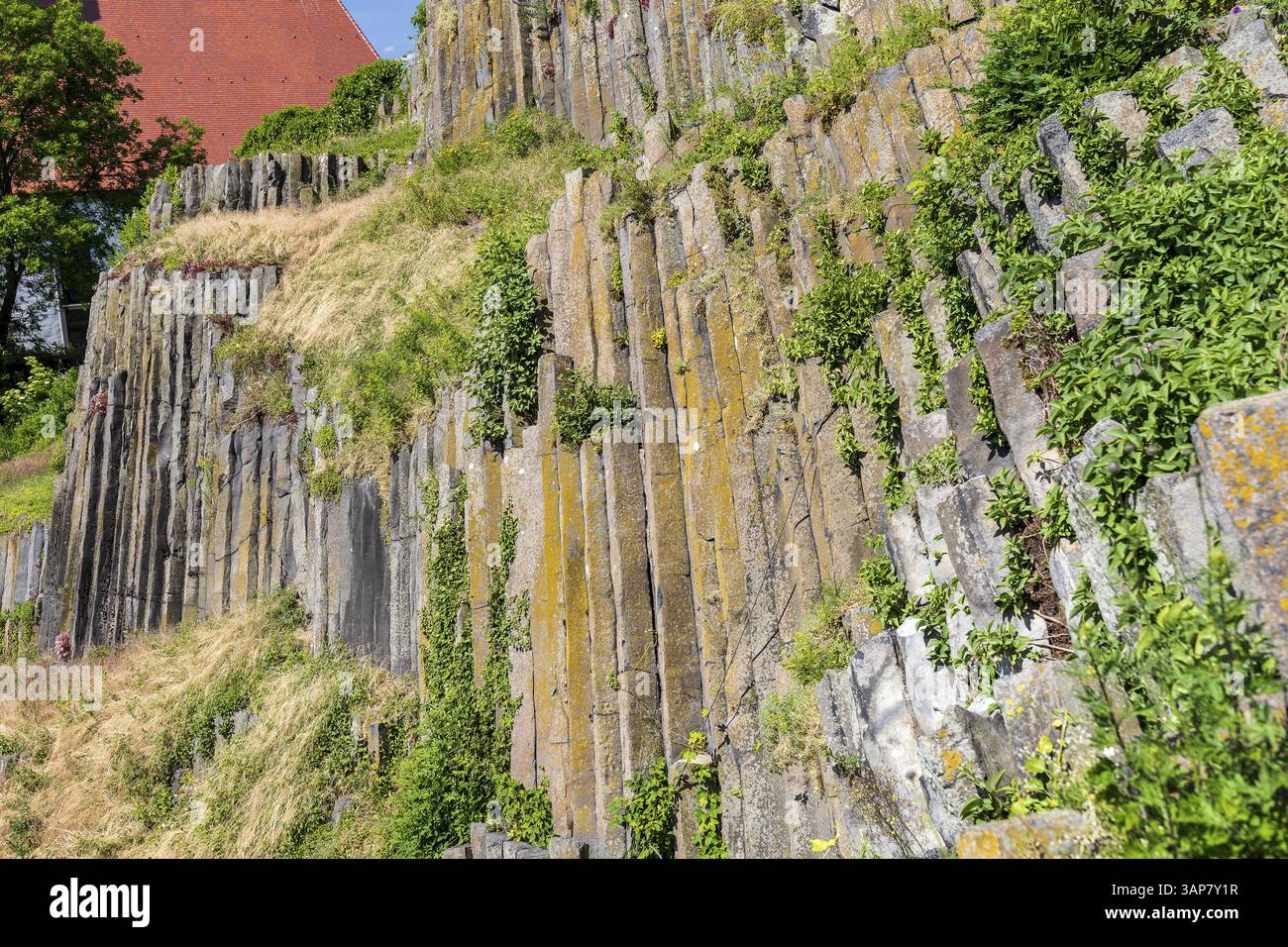 Basalt columns on which Stolpen Castle was built, Saxony, Germany ...