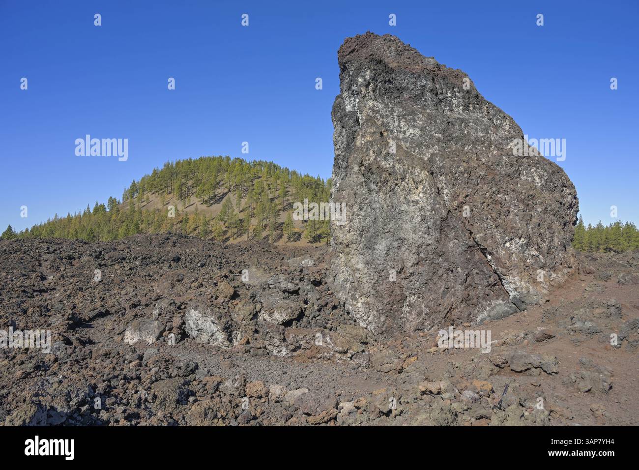 Cinder landscape in the nature reserve at the Chinyero volcano ...