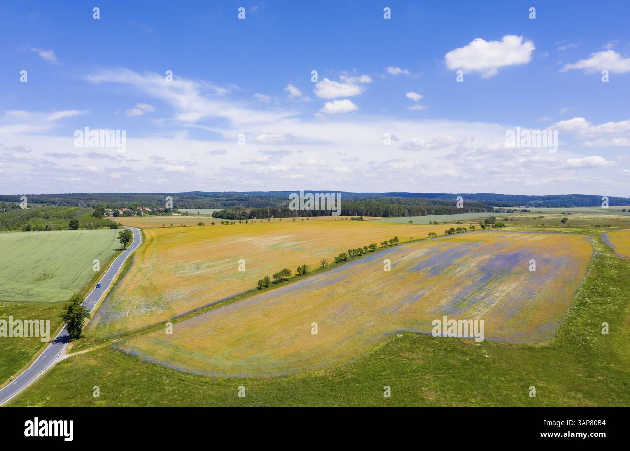 Aerial view of flowering meadows and fields Stock Photo - Alamy