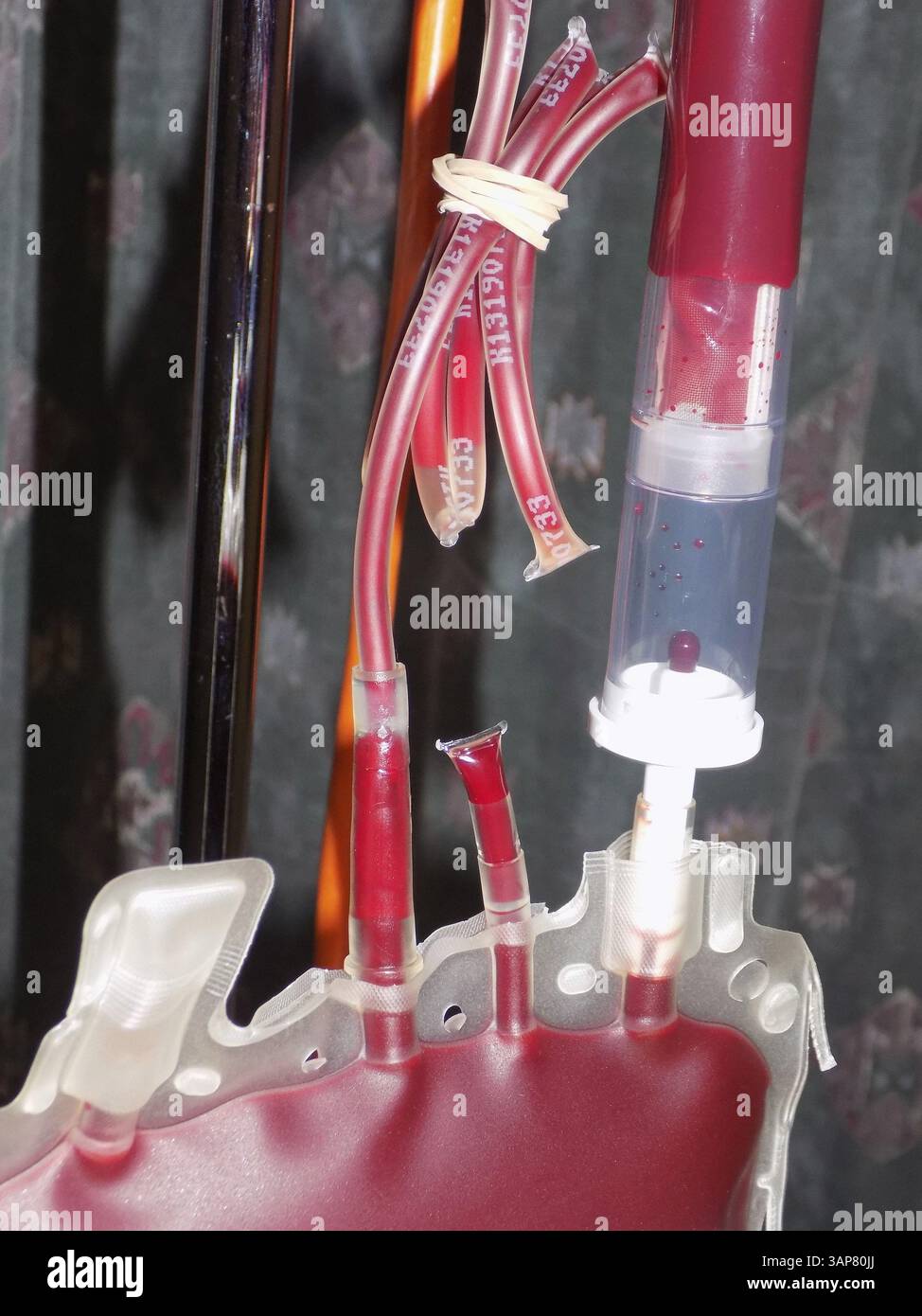 Detail of a bag set up for a blood transfusion Stock Photo - Alamy