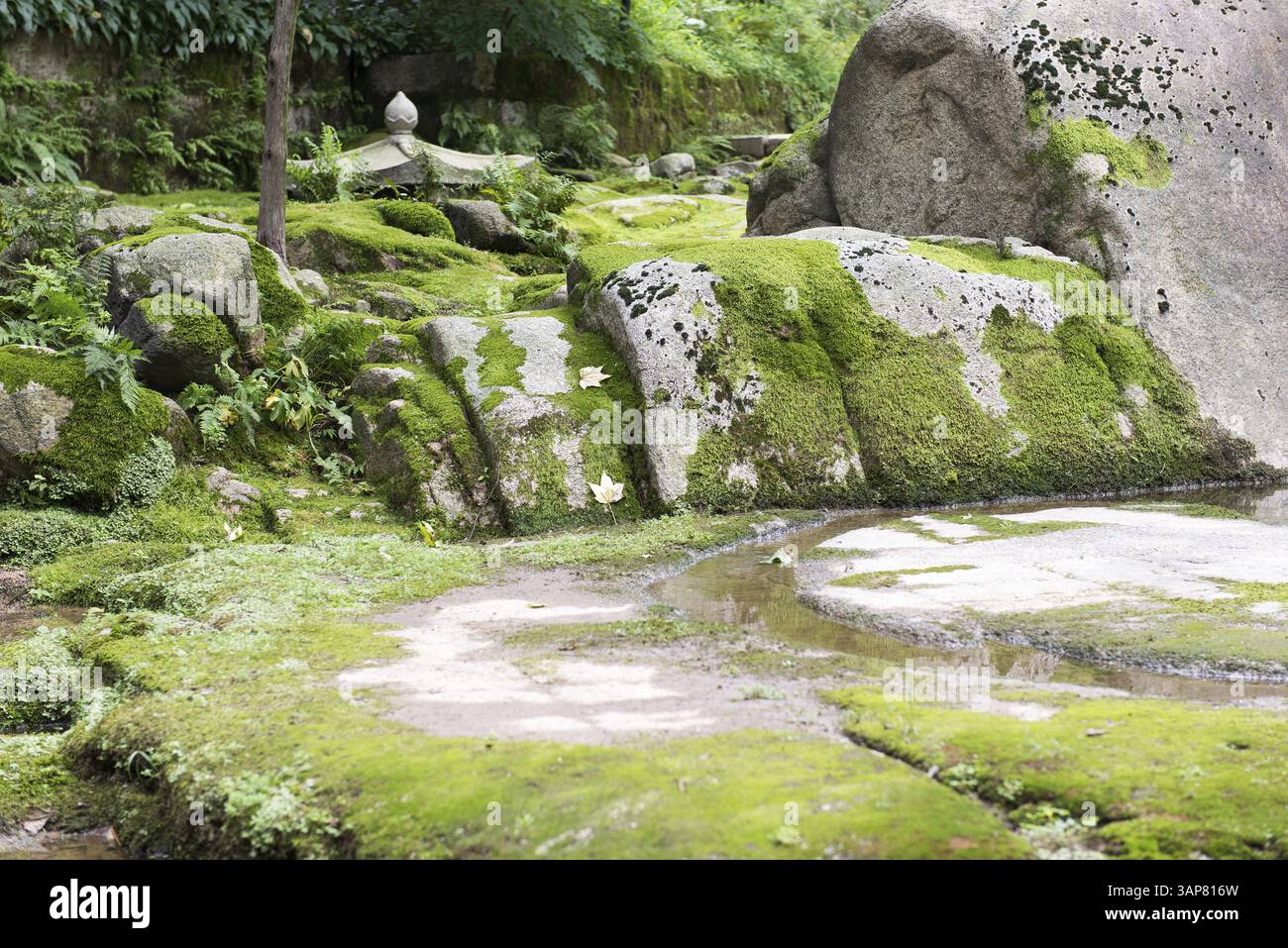 Green moss stones and asian architecture in a park at Changdeokgung ...