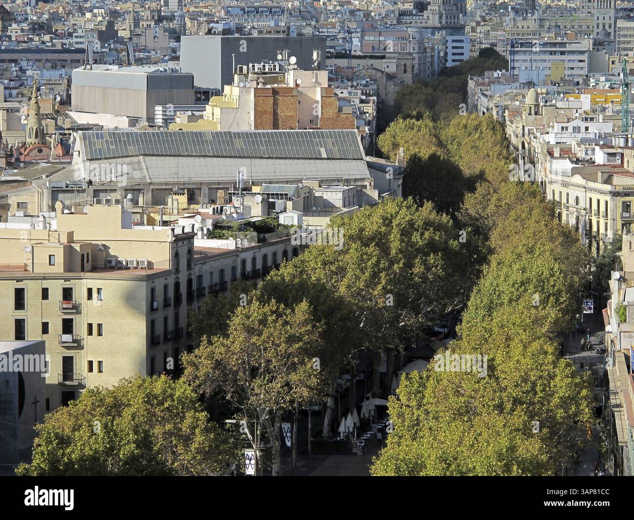 River of trees in barcelona. la rambla, Barcelona, Spain, Europe Stock ...