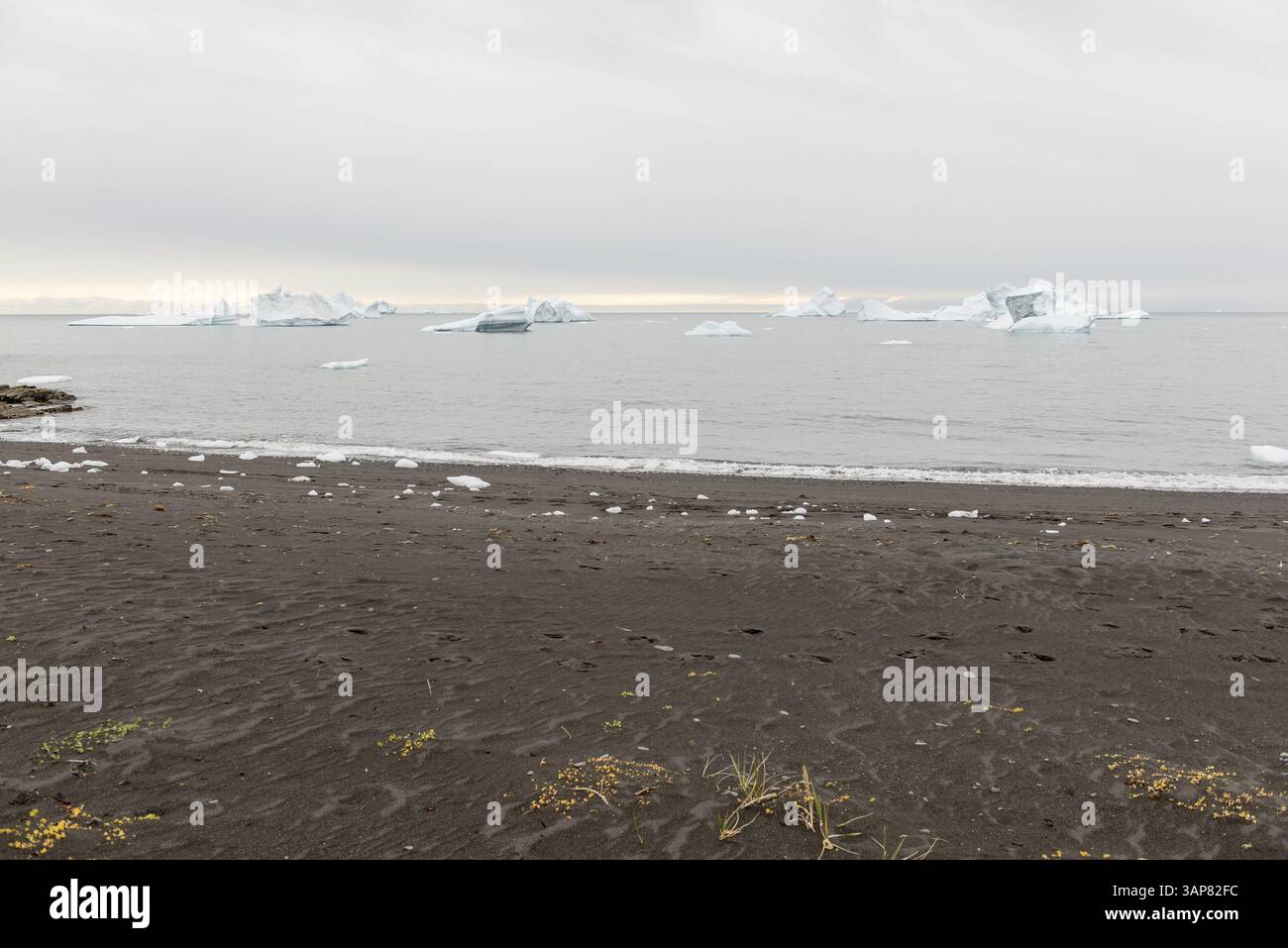 Black beach and icebergs on Disko Island in Greenland, Greenland, North ...