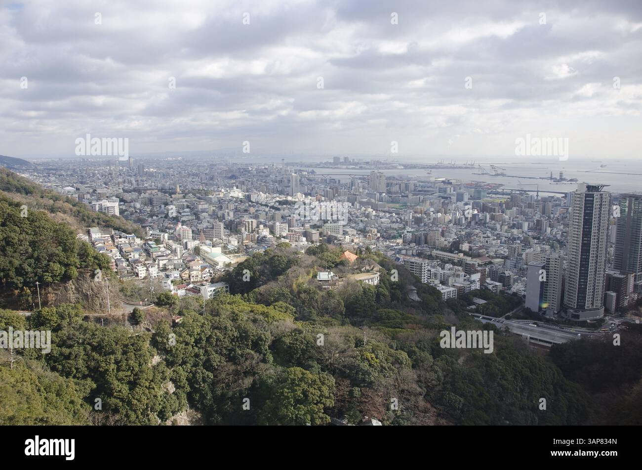 Panorama view of Kobe from a surrounding mountain with trees and houses ...