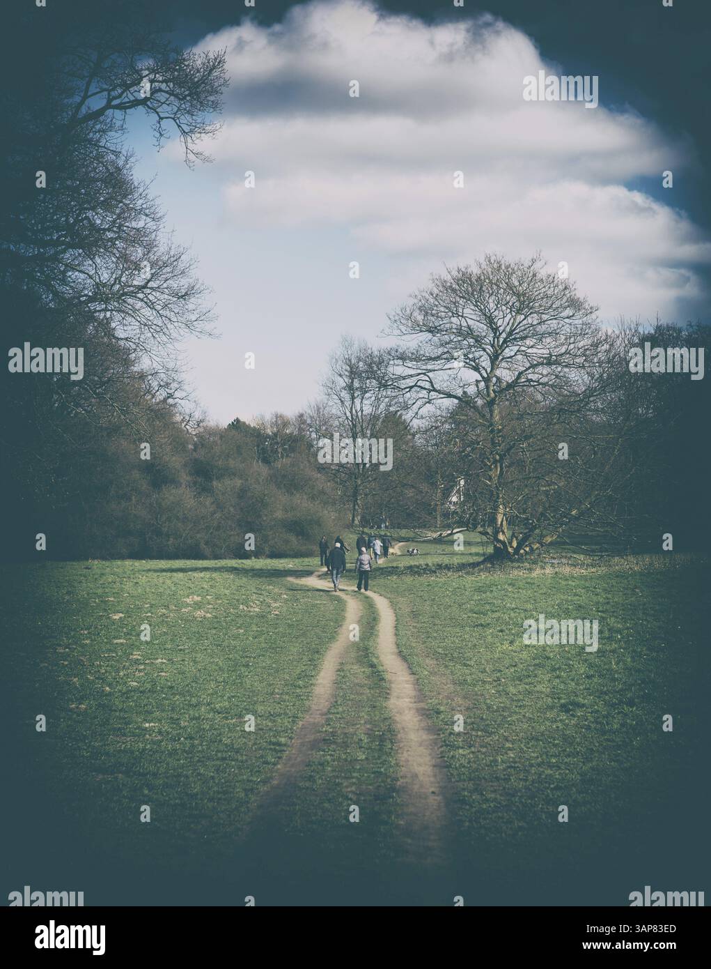 Daily routine activities hi-res stock photography and images - Alamy