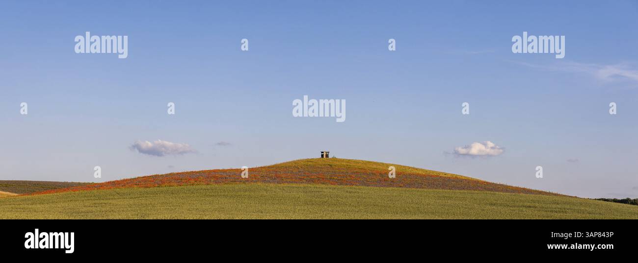 Panorama wide fields Wisen summer meadows Stock Photo - Alamy