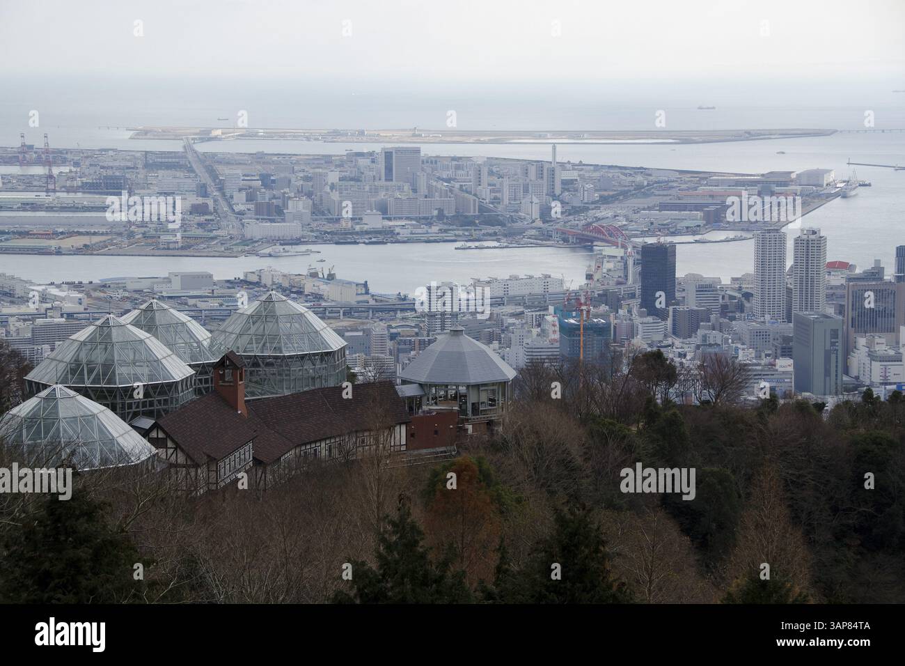 View of Kobe from a surrounding mountain with trees, houses and ...