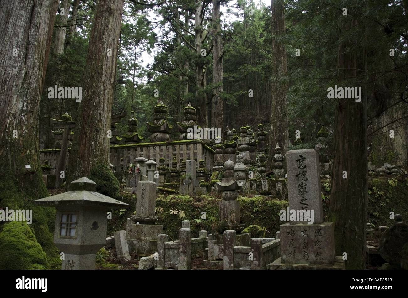 Okunoin cemetary at Mount Koya and Koya-san in Wakayama, Japan. World ...