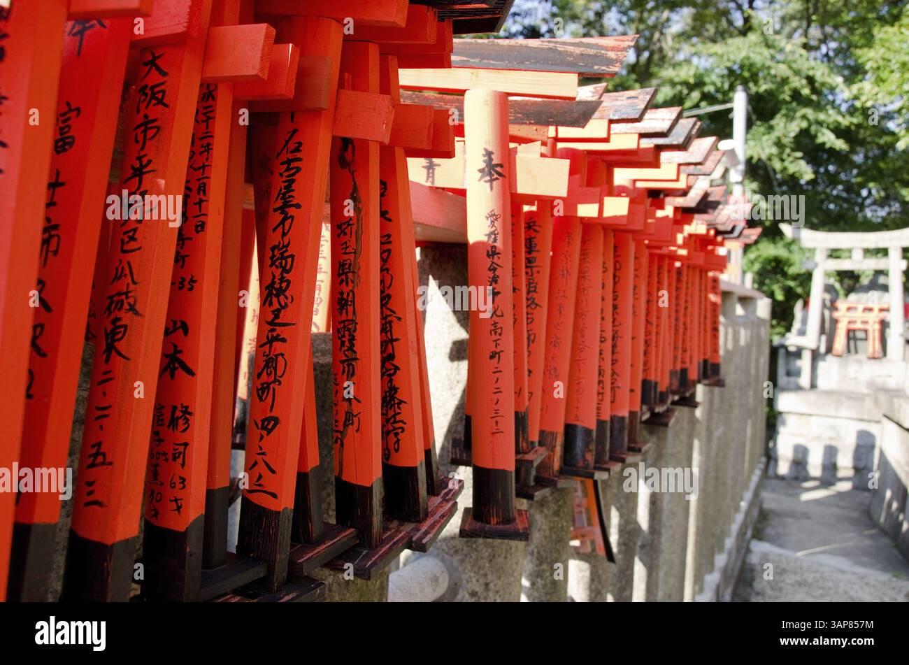 Small torii gates at the fushimi inari shrine in kyoto, Kyoto, Japan ...