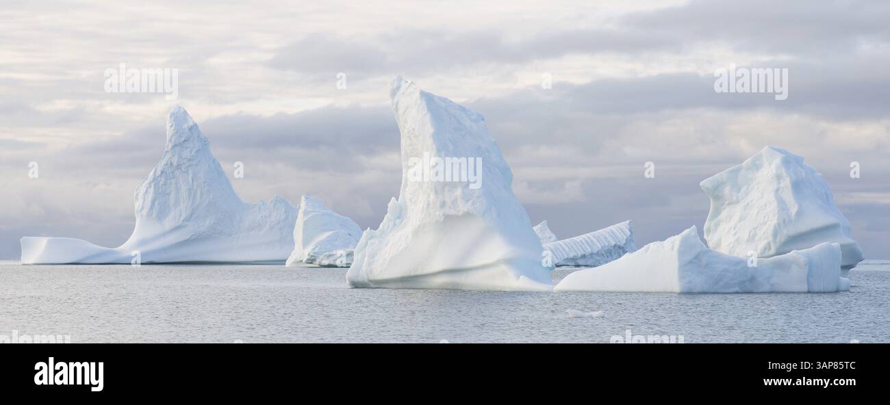 Panorama of beautiful icebergs in the sun and in front of a dark sky ...