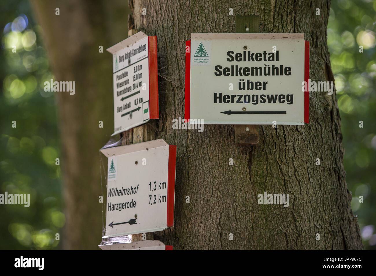 Pictures from the Selke valley Anhalt castle ruins Stock Photo - Alamy