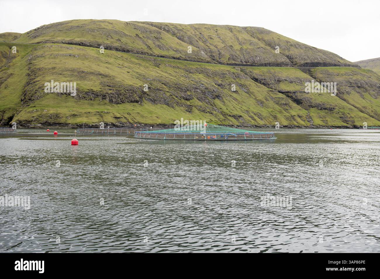 Salmon farm on the Faroe Islands close to Vestmanna as seen from the ...